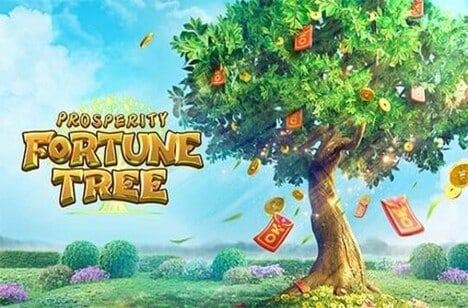 รีวิว PG SLOT Prosperity Fortune Tree ต้นไม้เเห่งโชคลาภ